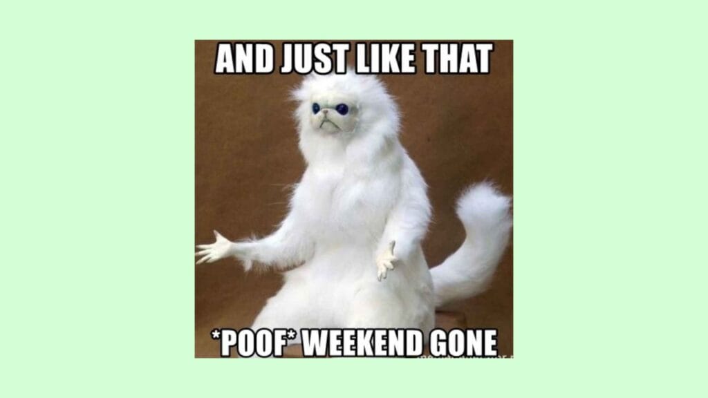 Answers To “How Was Your Weekend?” – WiseRespond